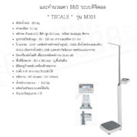 หน้าแรก - บริษัท แกรนด์ สเกลส์ ซิสเท็ม จำกัด