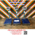 เครื่องชั่งตั้งพื้น ยี่ห้อ FIDELITY รุ่น 19eA+KS-F150K - บริษัท แกรนด์ สเกลส์ ซิสเท็ม จำกัด